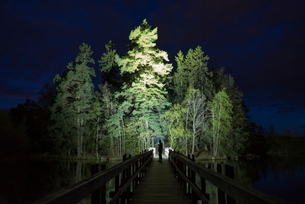 How Bright Is 2000 Lumens and Is It Enough? - Setick